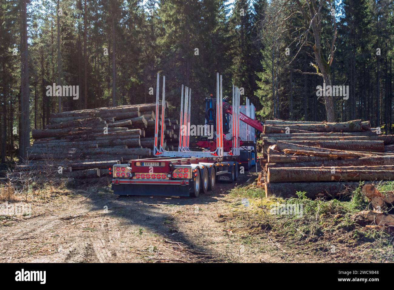 Trailer with felled timber hi-res stock photography and images - Alamy