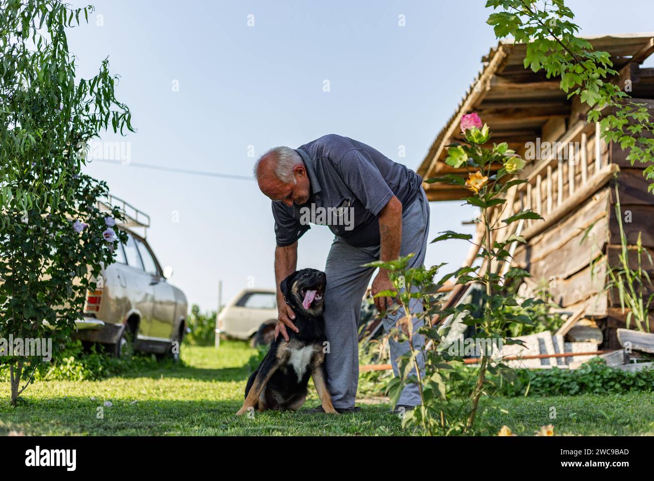 Adorable posing hi-res stock photography and images - Alamy