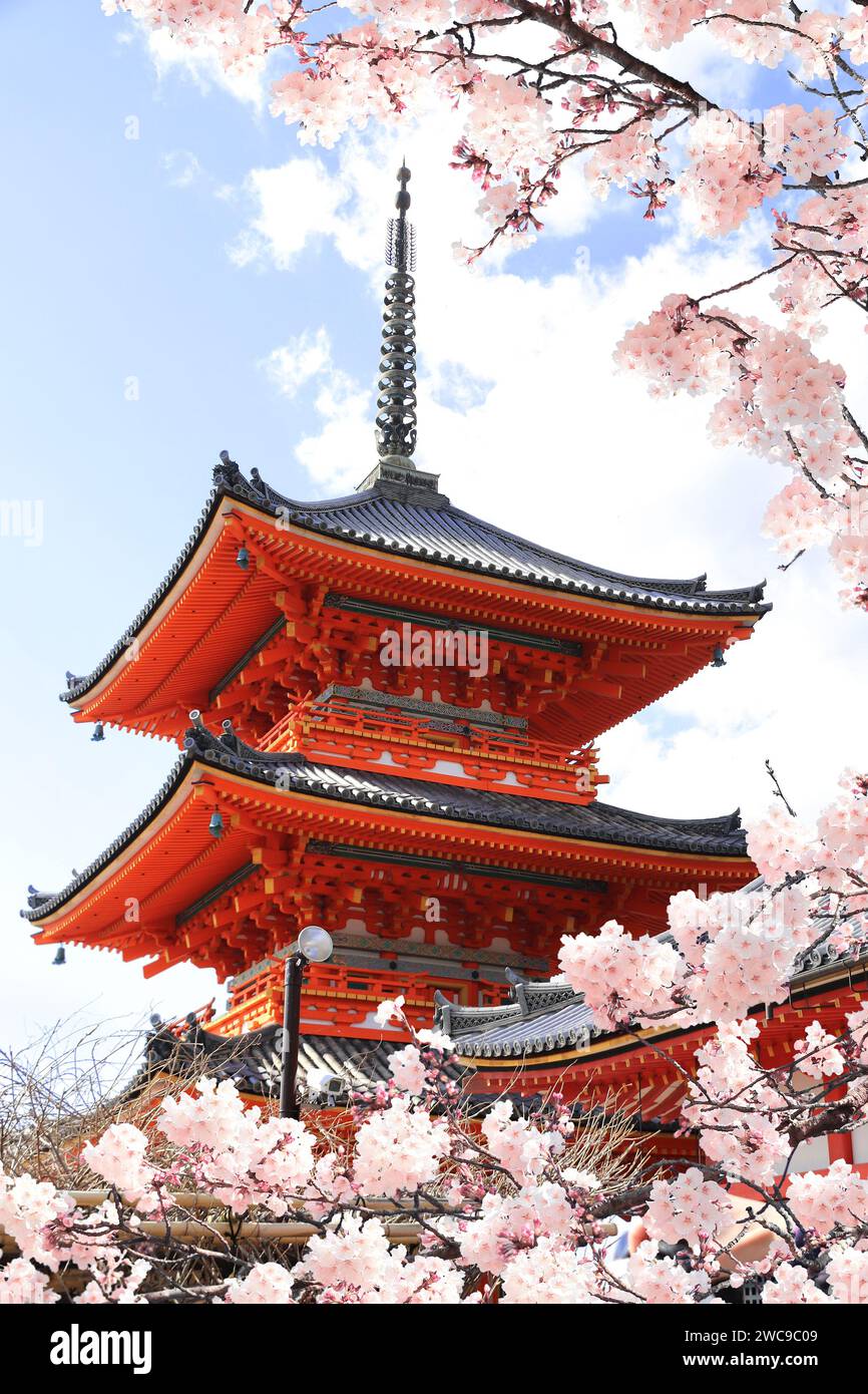 Ancient pavilion and blooming sakura branches in Fushimi Inari shrine ...