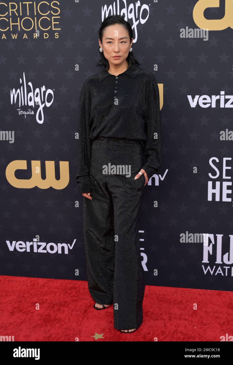 Greta lee 2024 hi-res stock photography and images - Alamy