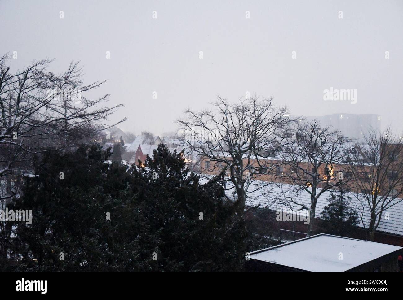 15 january 2024 hi-res stock photography and images - Alamy