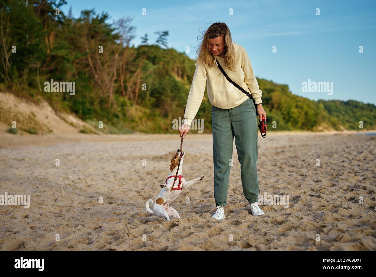Woman and active dog have fun at sand sea beach. Female owner walking ...