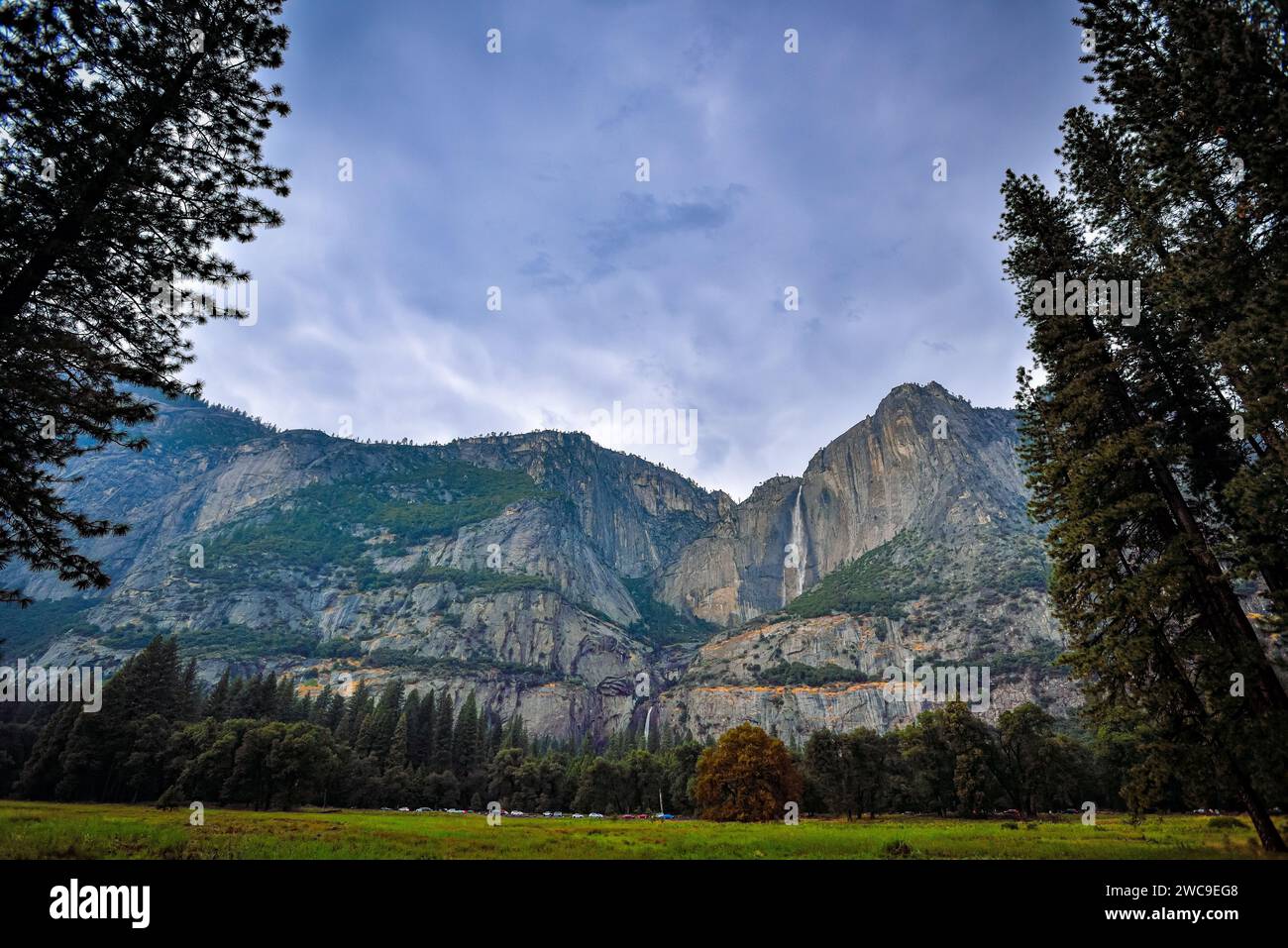 The Cascades of Yosemite Falls seen from the Meadows of Yosemite Valley ...