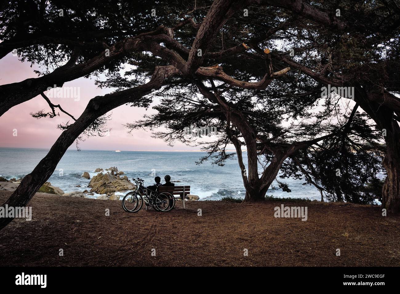 Berwick park hi-res stock photography and images - Alamy