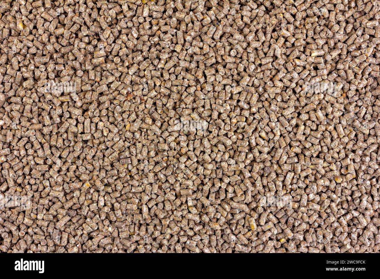 compound feed for animal feeding, top view Stock Photo - Alamy