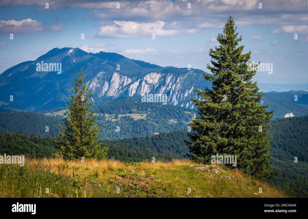 Positioned to view hi-res stock photography and images - Alamy