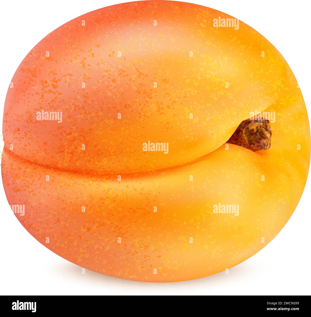Hard skin Stock Vector Images - Alamy