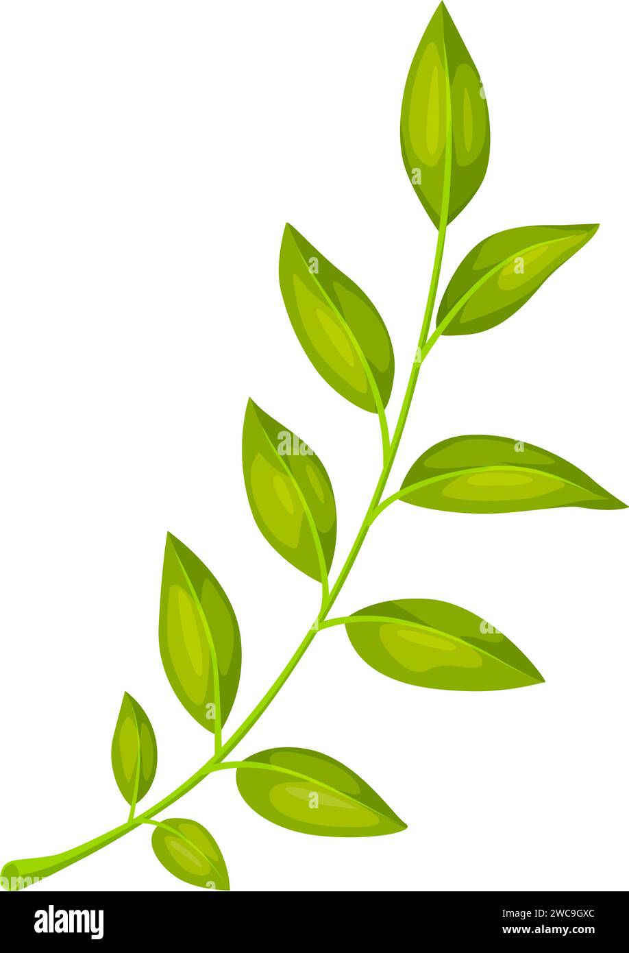 Green leaf, isolated cartoon vector tree, garden flower or forest plant ...