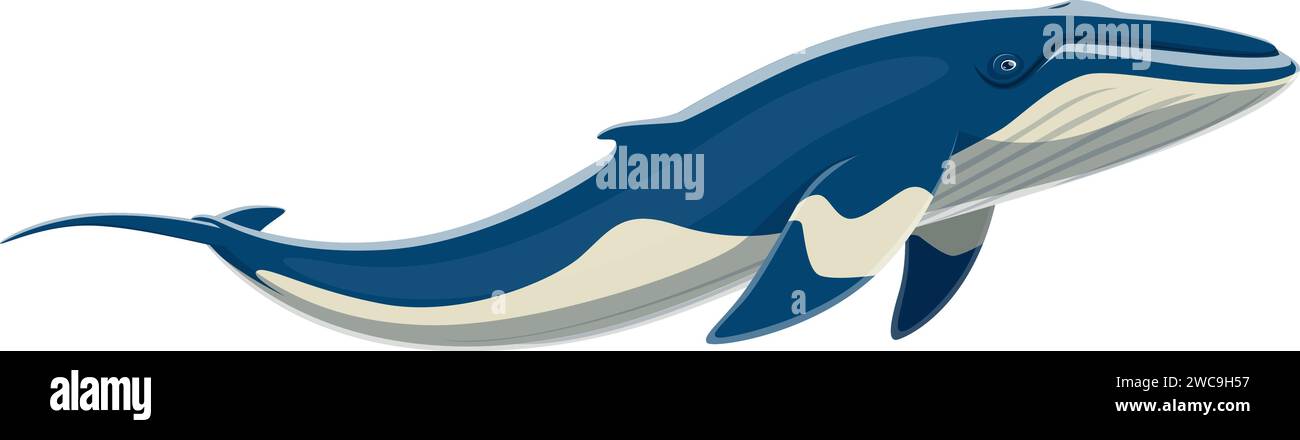 Humpback whale songs Stock Vector Images - Alamy