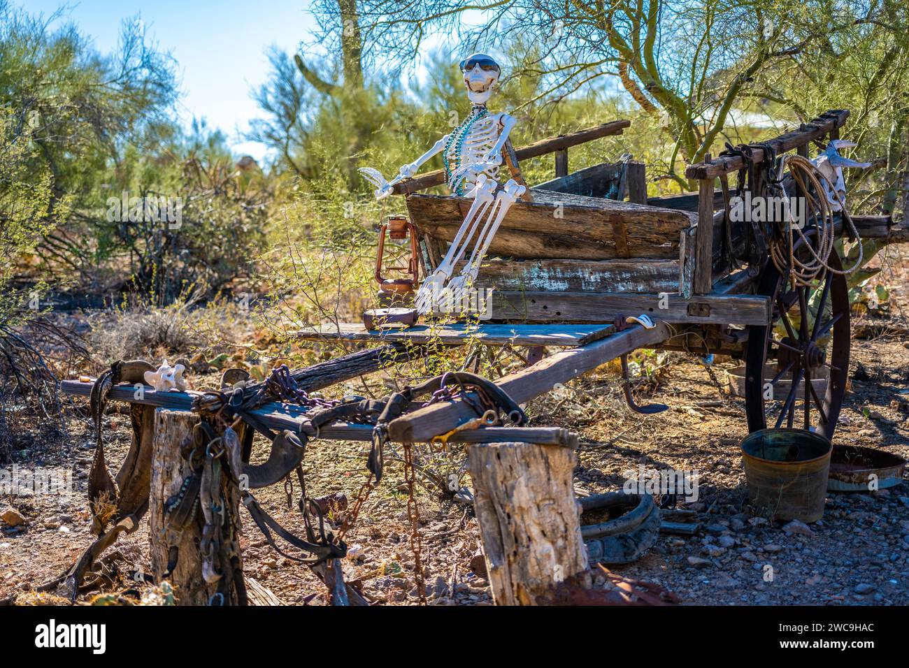 A bone on top of a horse drawn carriage in Tucson, Arizona Stock Photo ...
