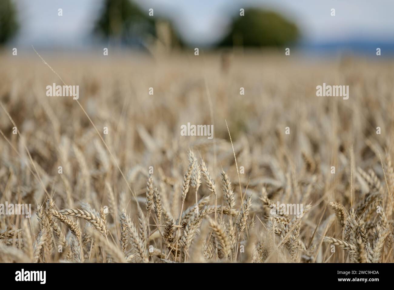 Rustic landscape features hi-res stock photography and images - Alamy