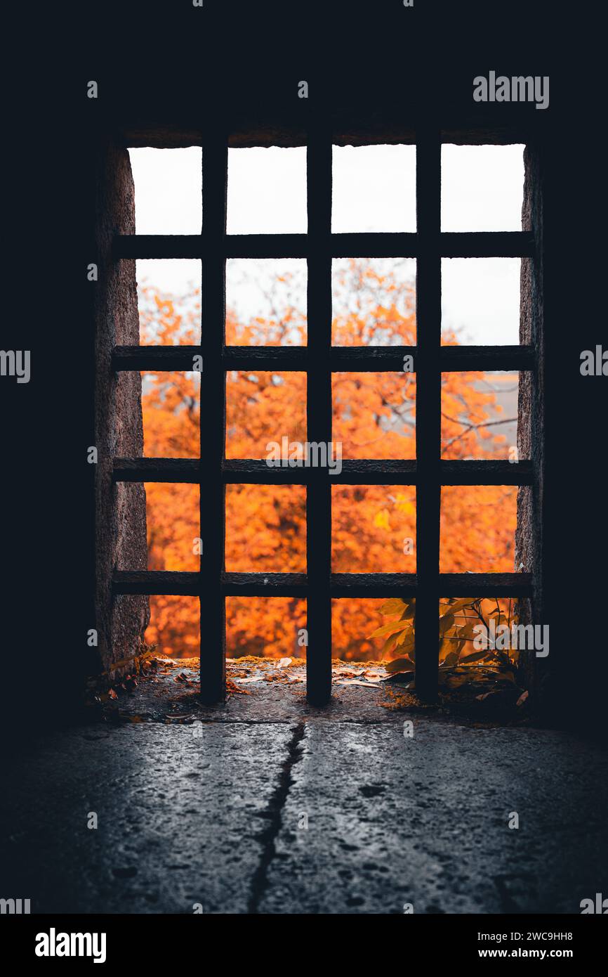 Metal grid window hi-res stock photography and images - Alamy
