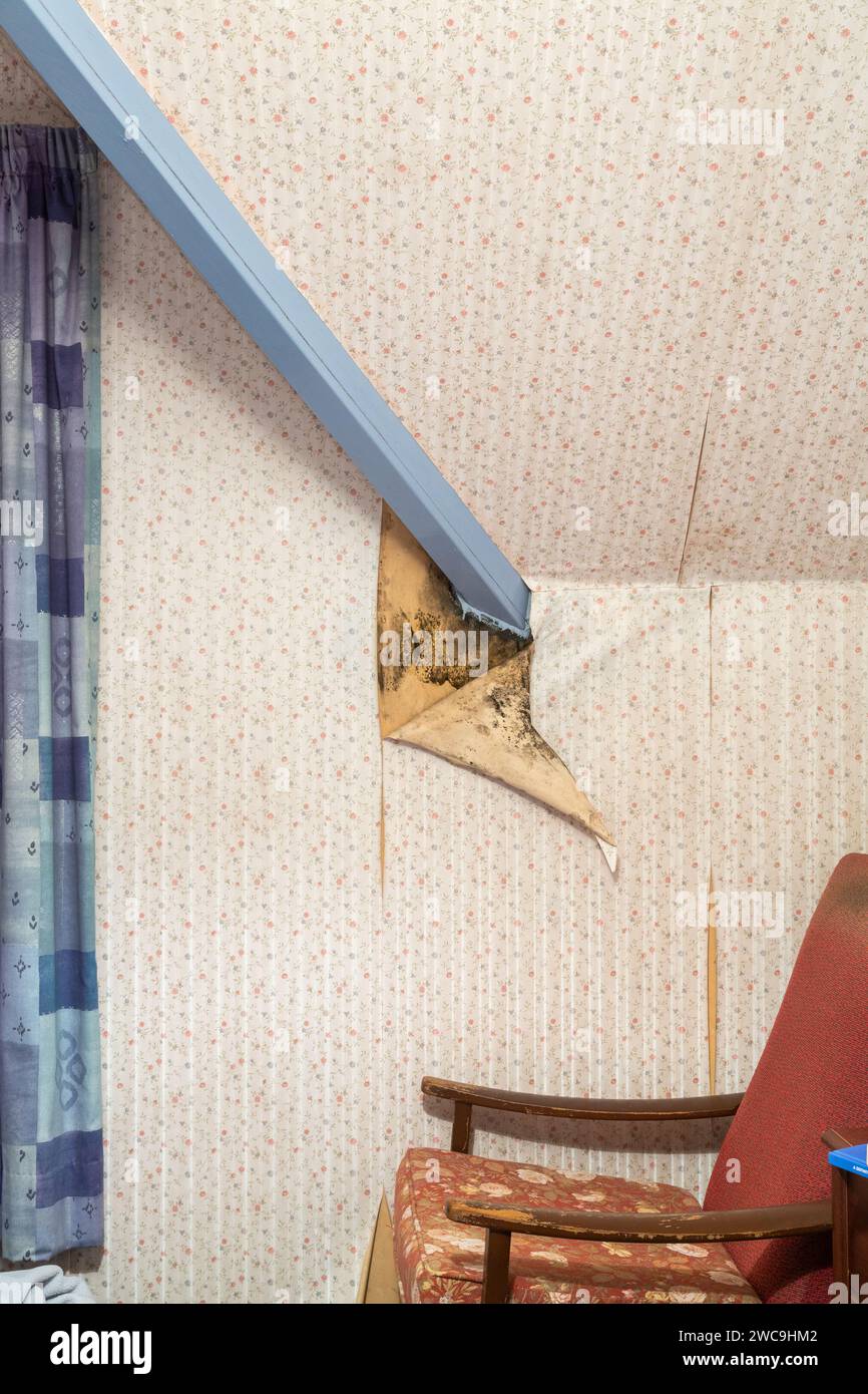 Dampness in a house causing the wallpaper to flake off and black mould ...