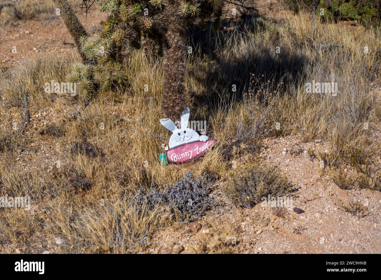 Tucson, AZ, USA - Nov 20, 2022: The Bunny Loop Trail Stock Photo - Alamy