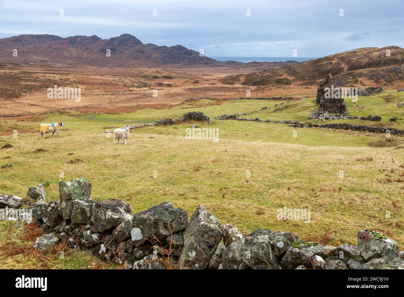 Glendrian is an abandoned crofting township in the centre of the ...