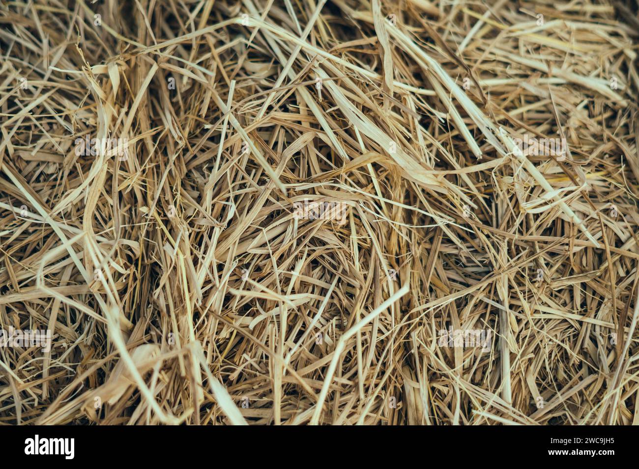 Hay close up bale background wallpaper macro stack beige tangled straw ...