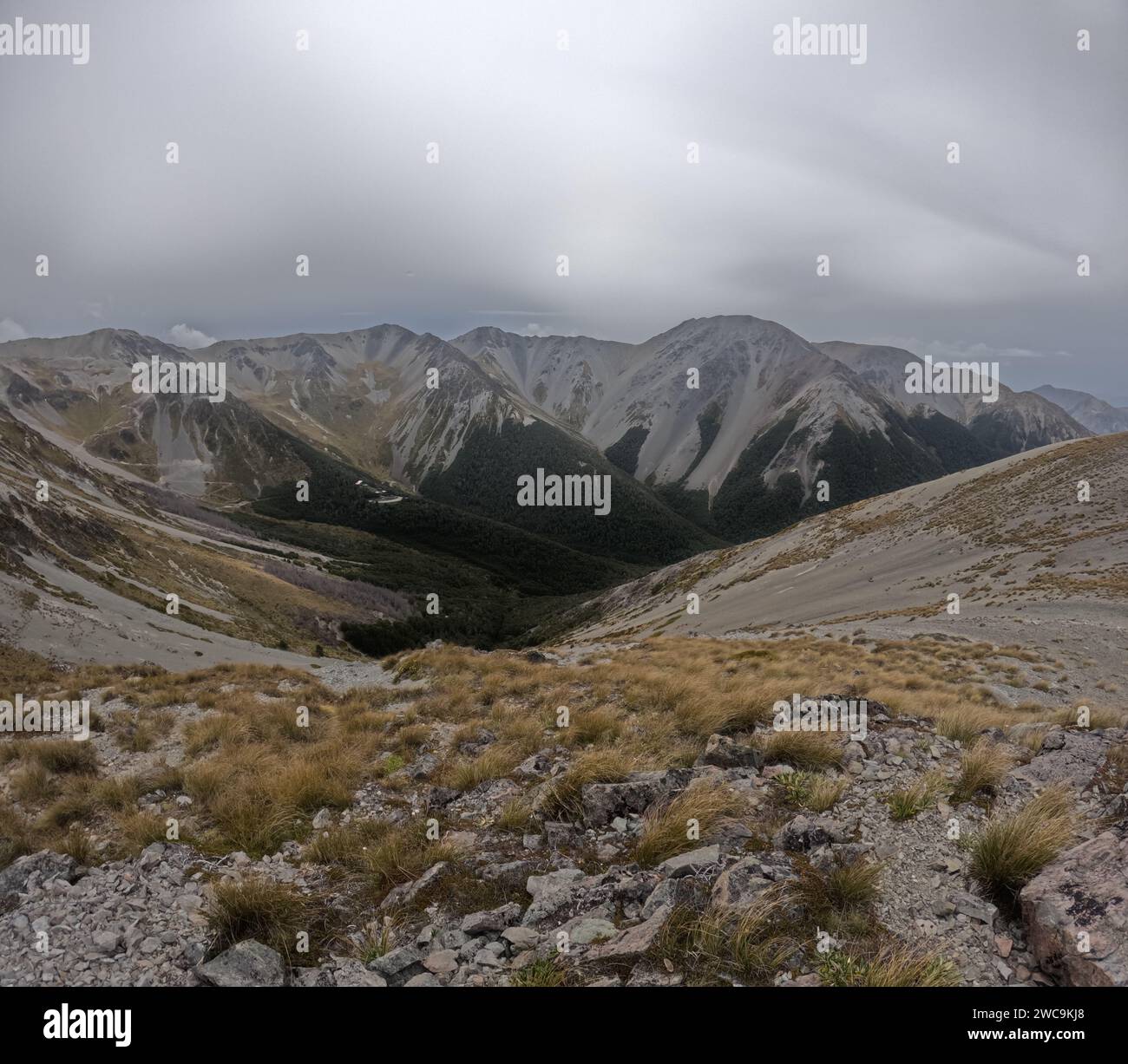 Craigieburn Forest Park extends from the Waimakariri River to the ...