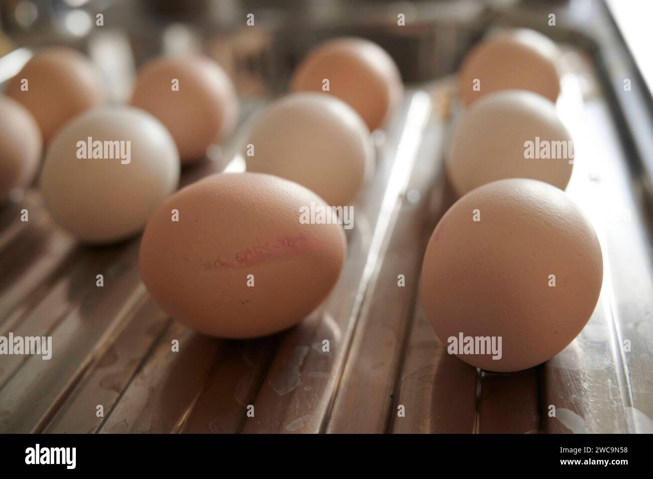 Osterspass hi-res stock photography and images - Alamy