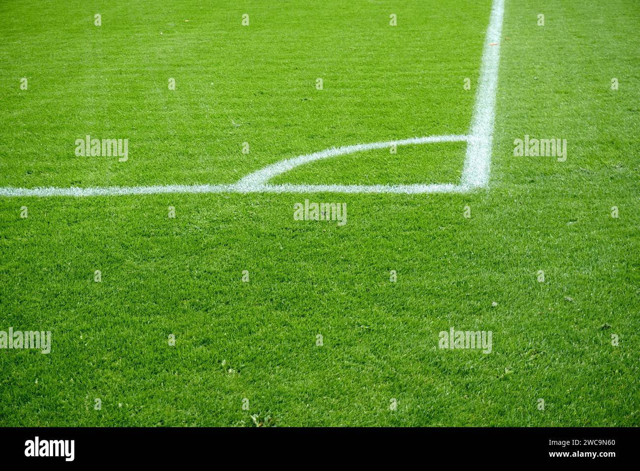 Soccer field in near plan Stock Photo - Alamy
