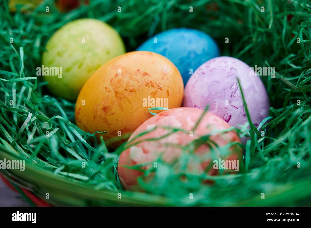 Tradition, Osterbrauch, gefärbte Eier in verschiedenen Farben liegen im ...