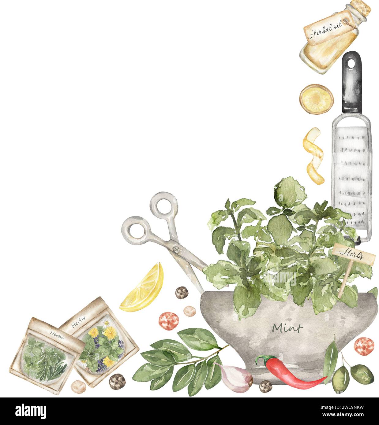 Watercolor herbs and spices corner border illustration. Hand painted ...