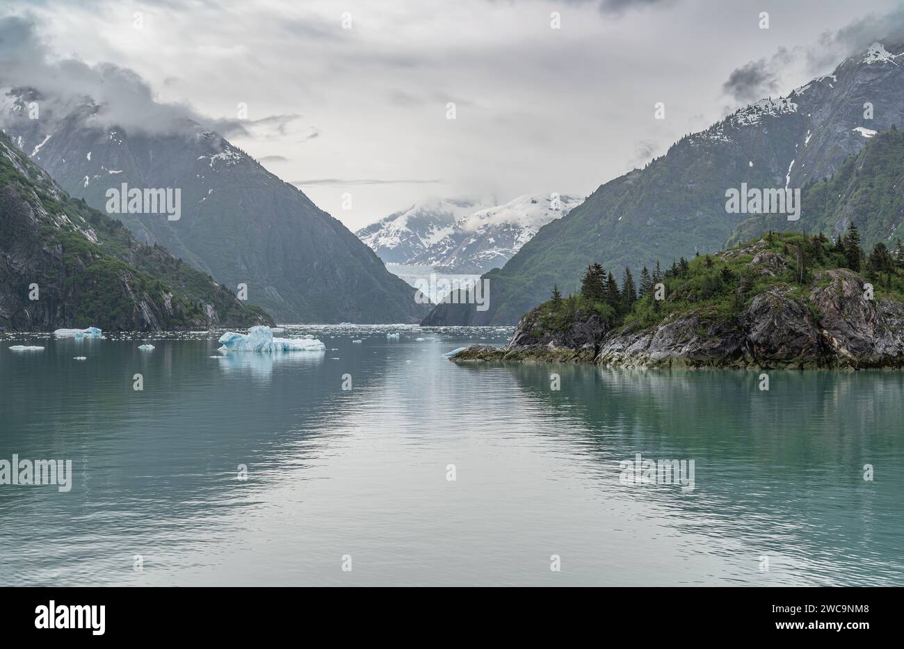 Gowlers (small icebergs) floating in the sea with North Sawyer Glacier ...