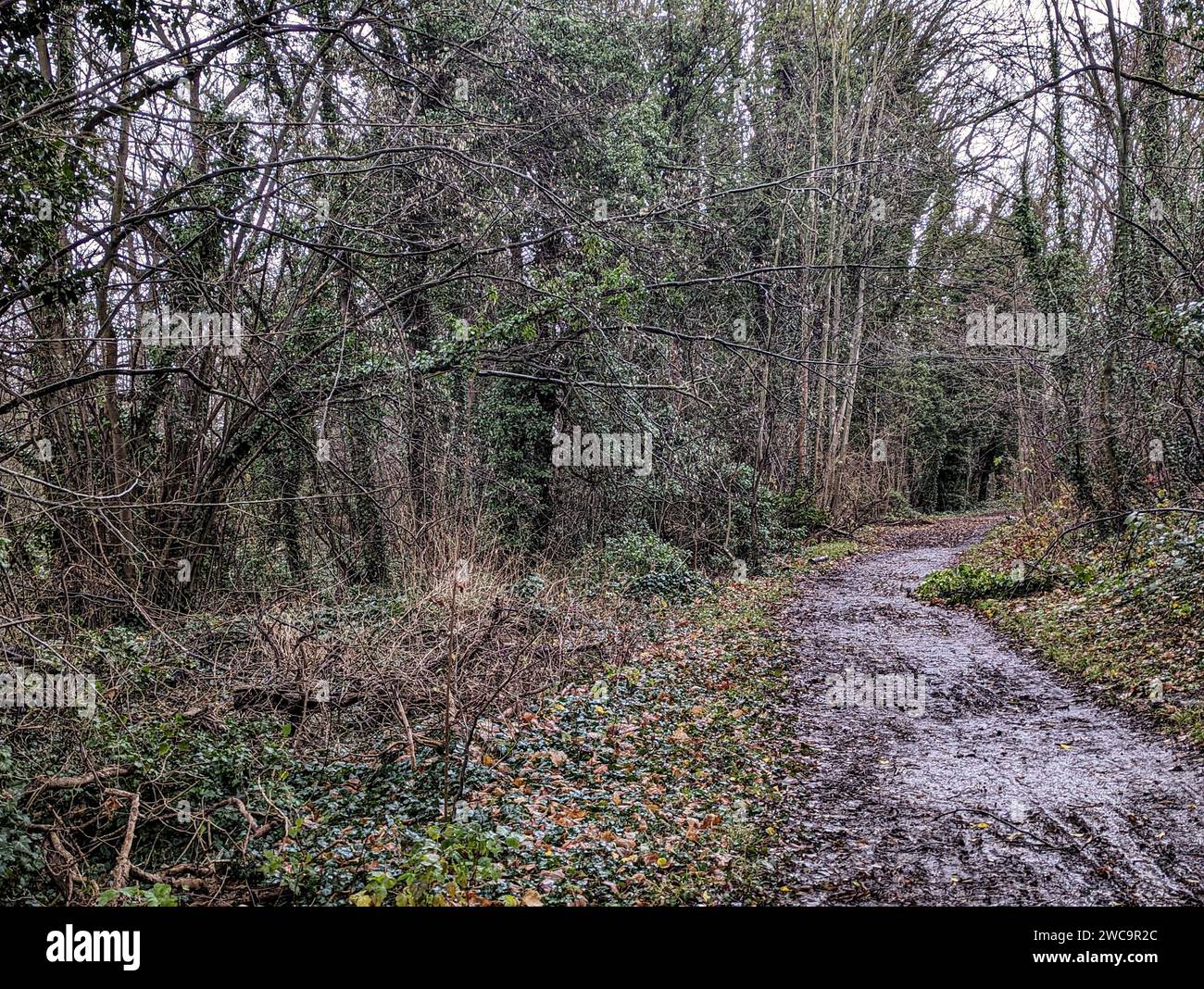 Pathway winds hi-res stock photography and images - Alamy