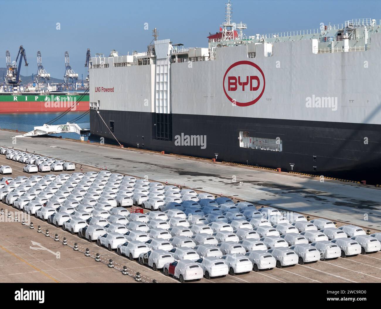 YANTAI, CHINA - JANUARY 10, 2024 - The "BYD Explorer No. 1" car carrier ...