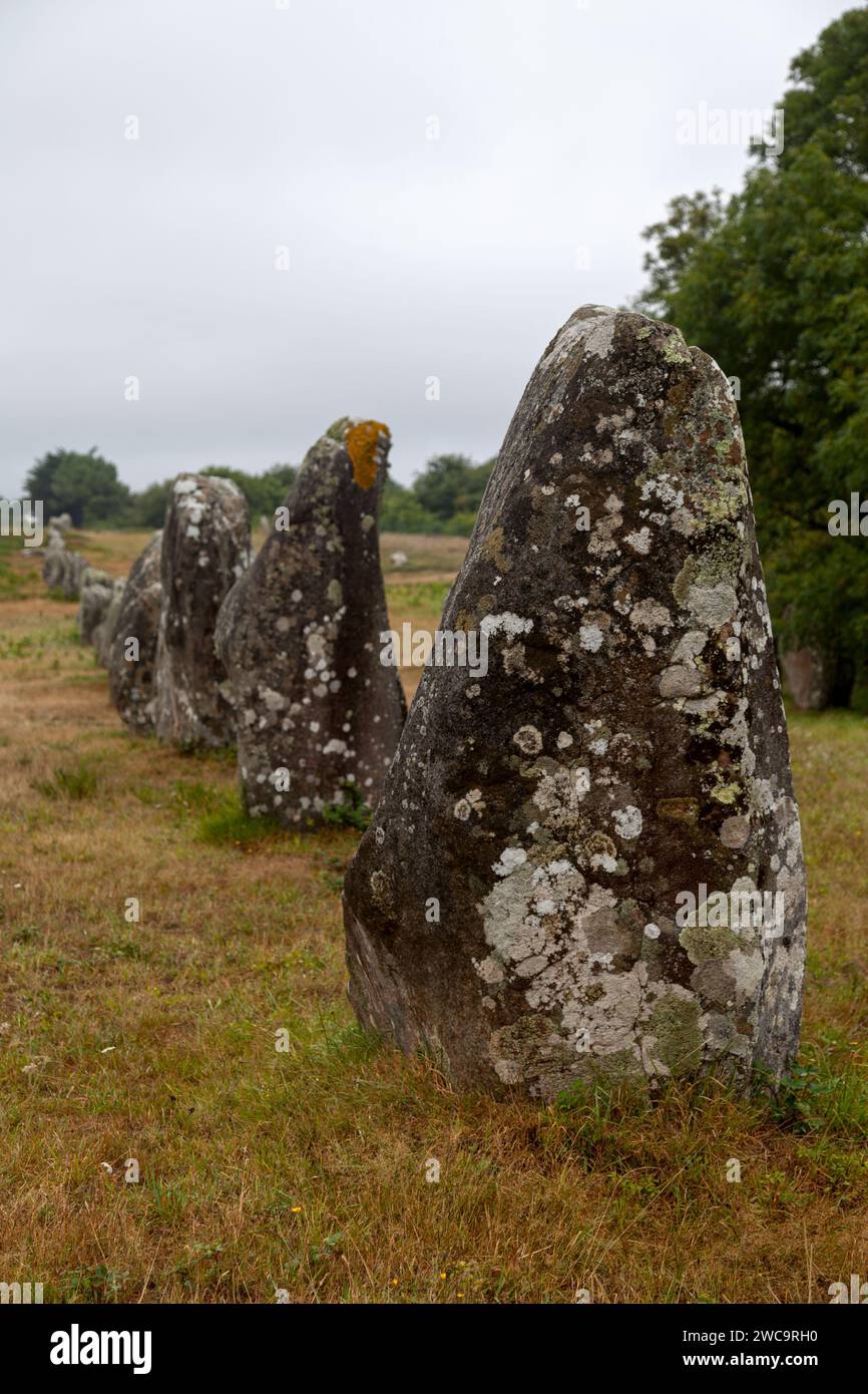 The Carnac stones are an exceptionally dense collection of megalithic ...