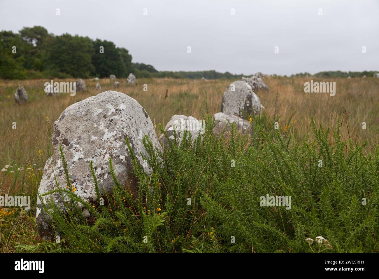 The Carnac stones are an exceptionally dense collection of megalithic ...