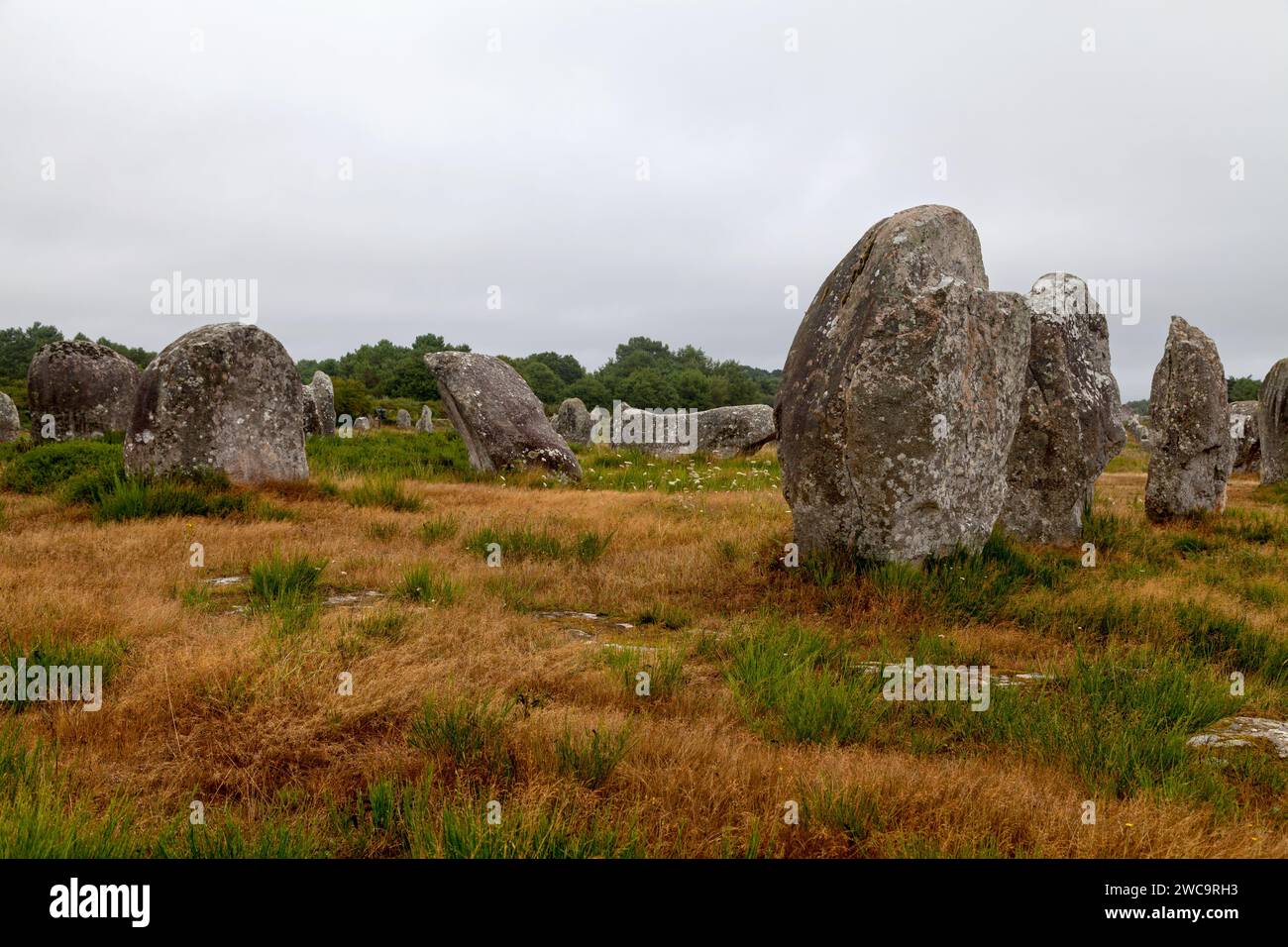 The Carnac stones are an exceptionally dense collection of megalithic ...