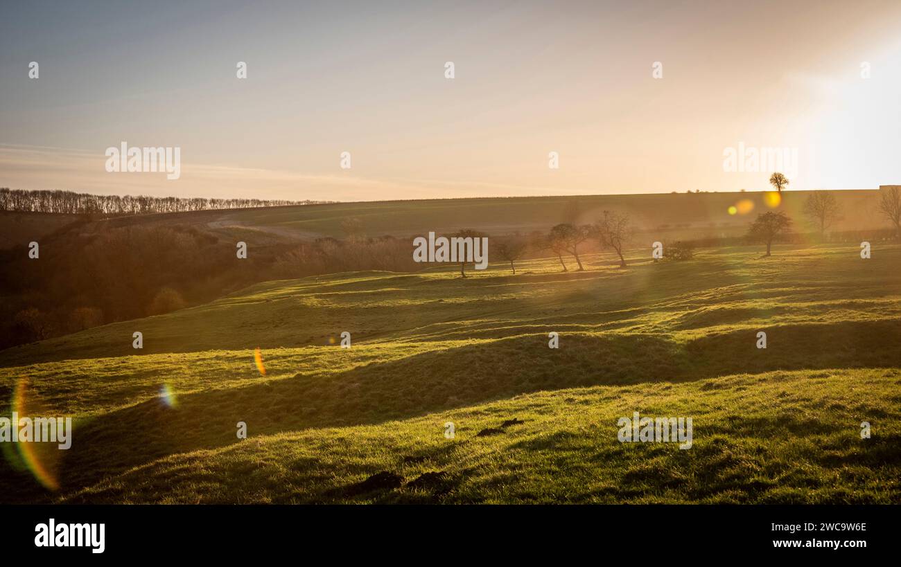 Traces of houses in the deserted Medieval village of Wharram Percy in ...