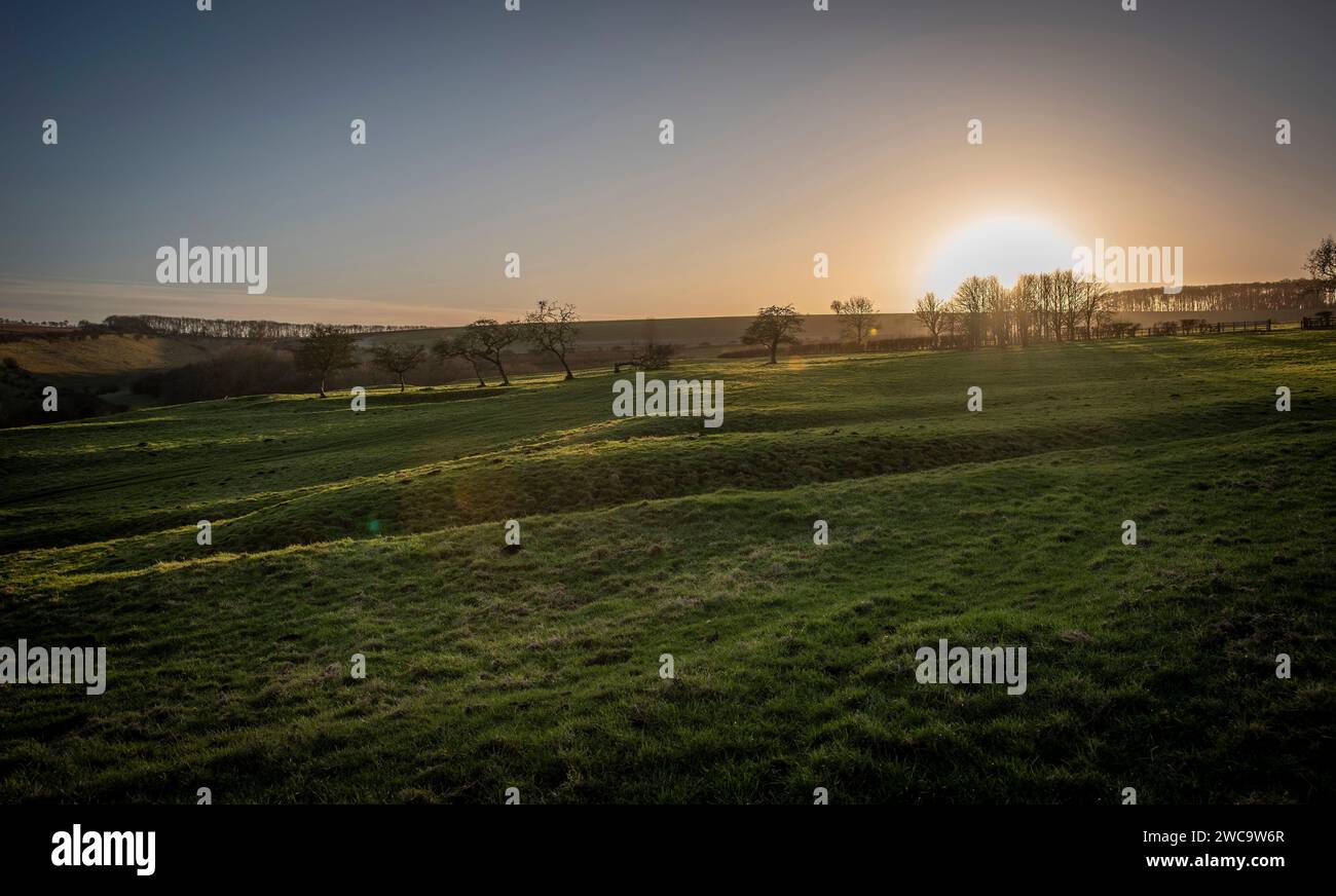 Traces of houses in the deserted Medieval village of Wharram Percy in ...