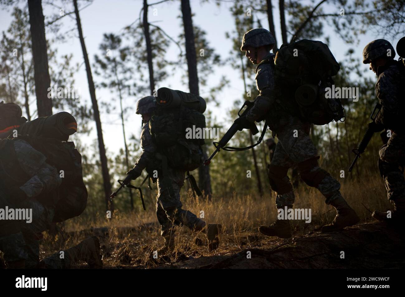 Soldiers patrol through the woods during a field training exercise ...