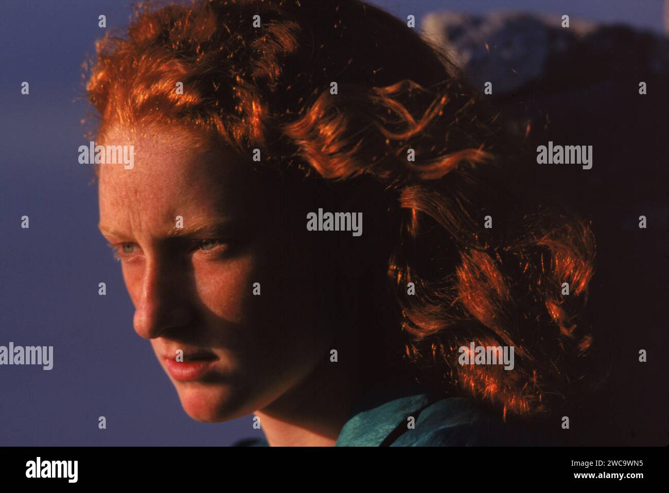 Maureen 352 hi-res stock photography and images - Alamy