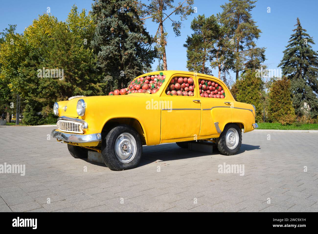 An old yellow Moskvich car, filled with fake red apples. It is an art ...