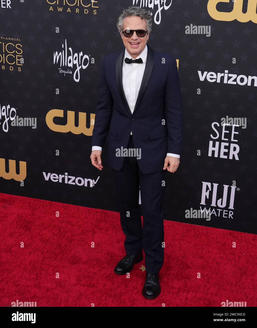 Los Angeles, USA. 06th Dec, 2022. Mark Ruffalo arrives at the 29th ...