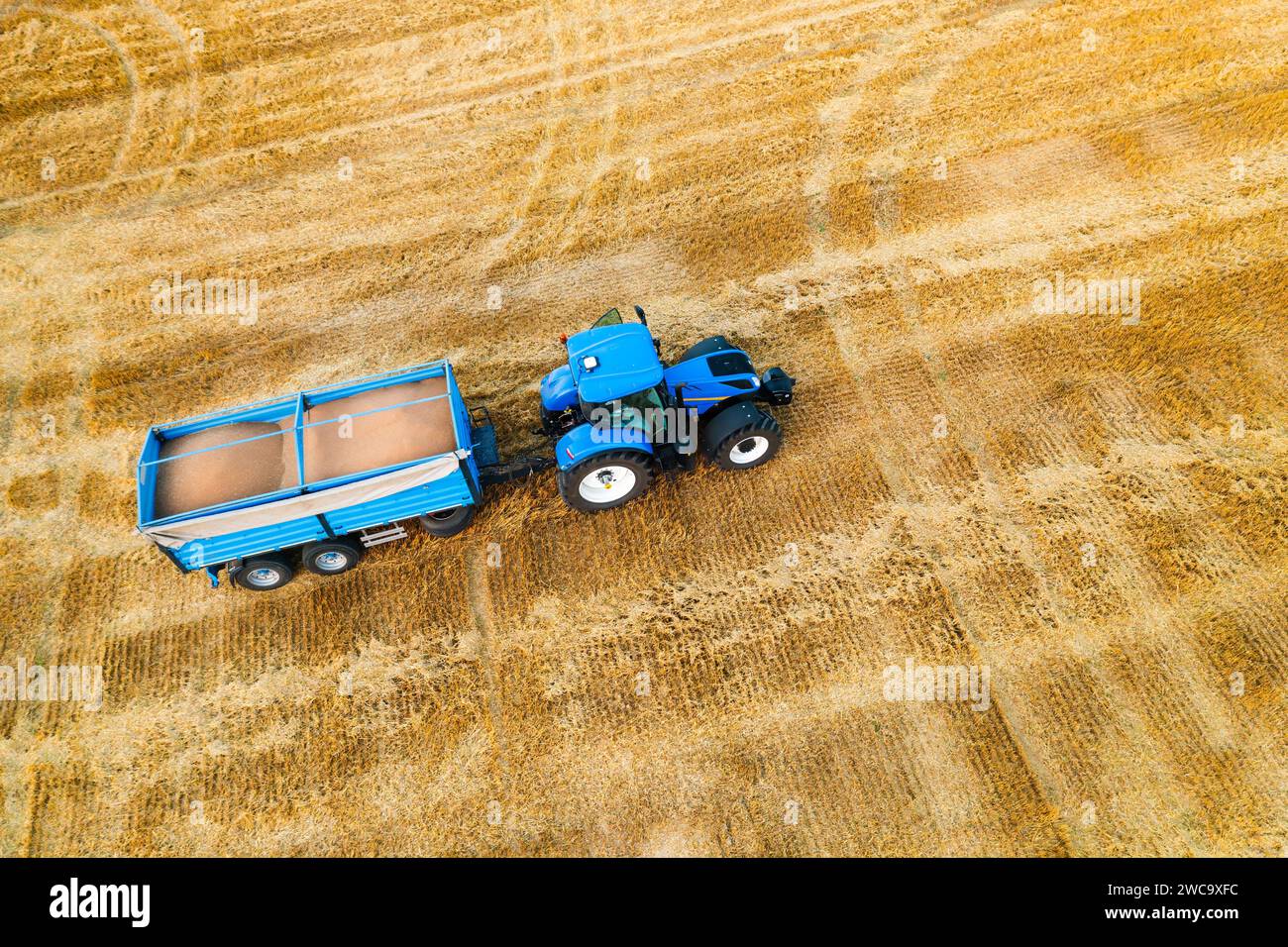 A blue tractor is shown pulling a loaded grain trailer across a vast ...