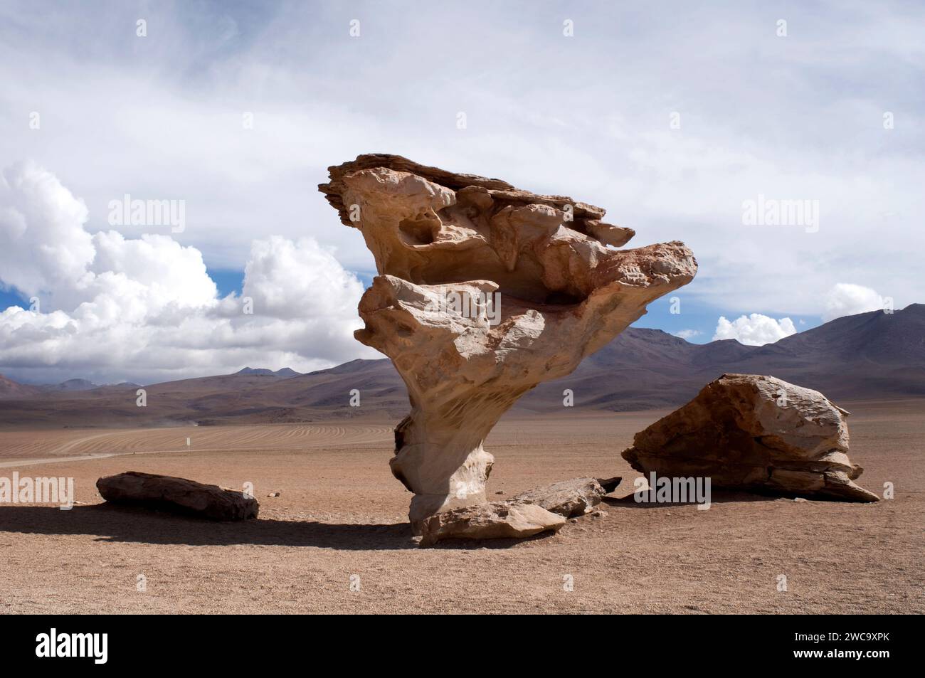 The arbol de piedra (rock tree) on the gringo trail near Bolivia's ...