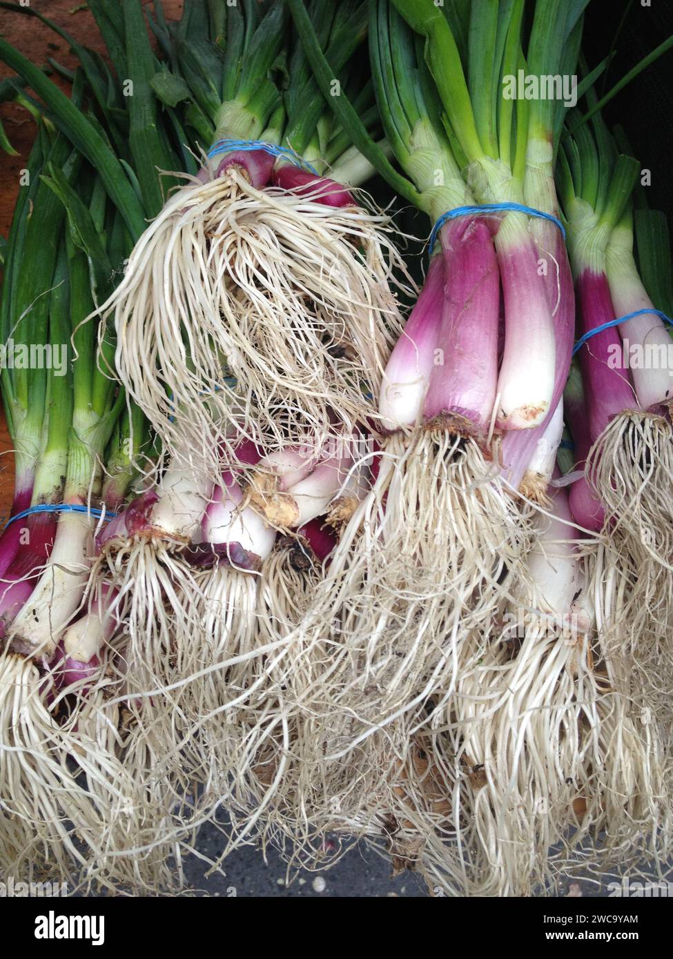 Purple scallion hi-res stock photography and images - Alamy