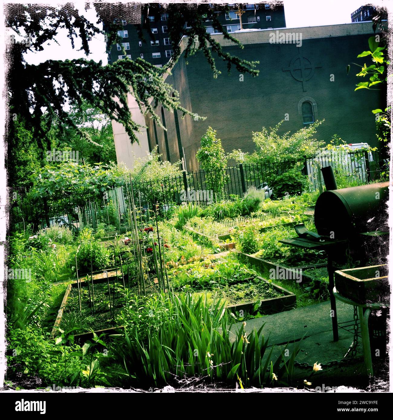 Destroyed garden hi-res stock photography and images - Alamy