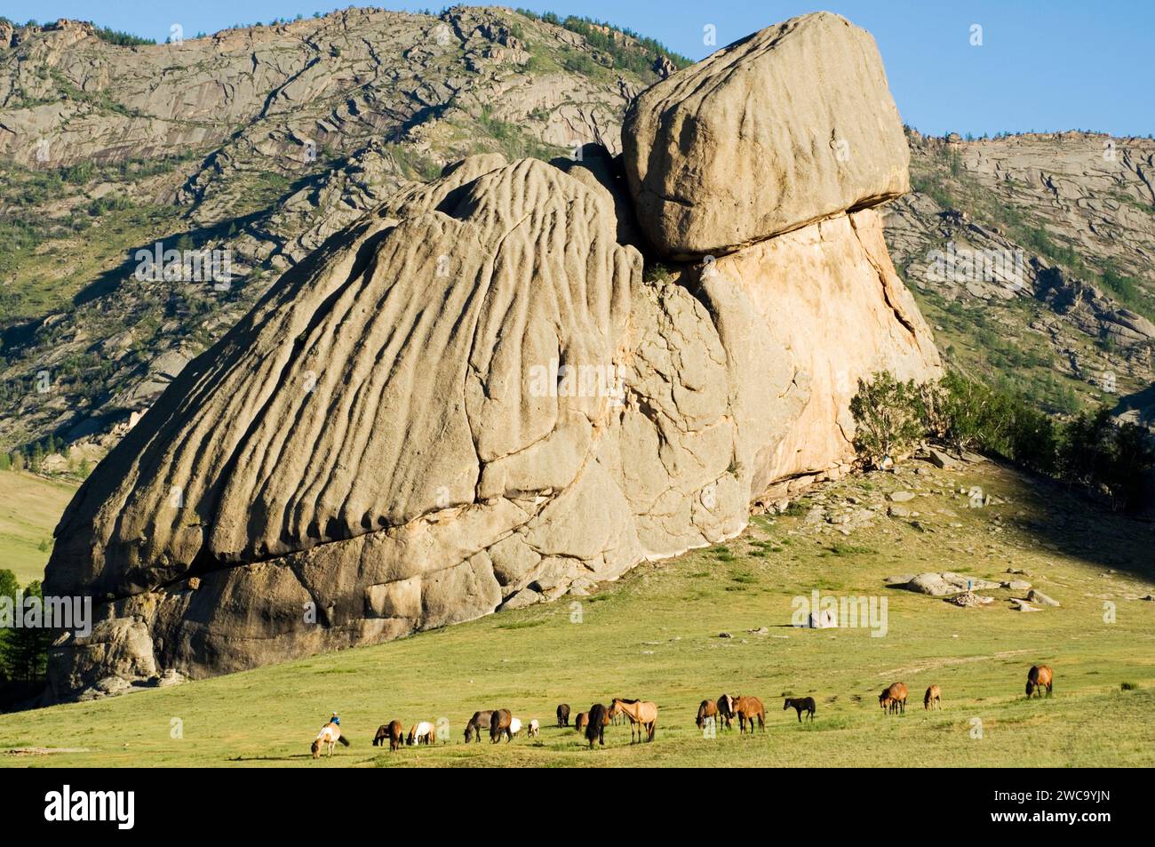 Turtle Rock, Terelj National Park, Mongolia Stock Photo - Alamy