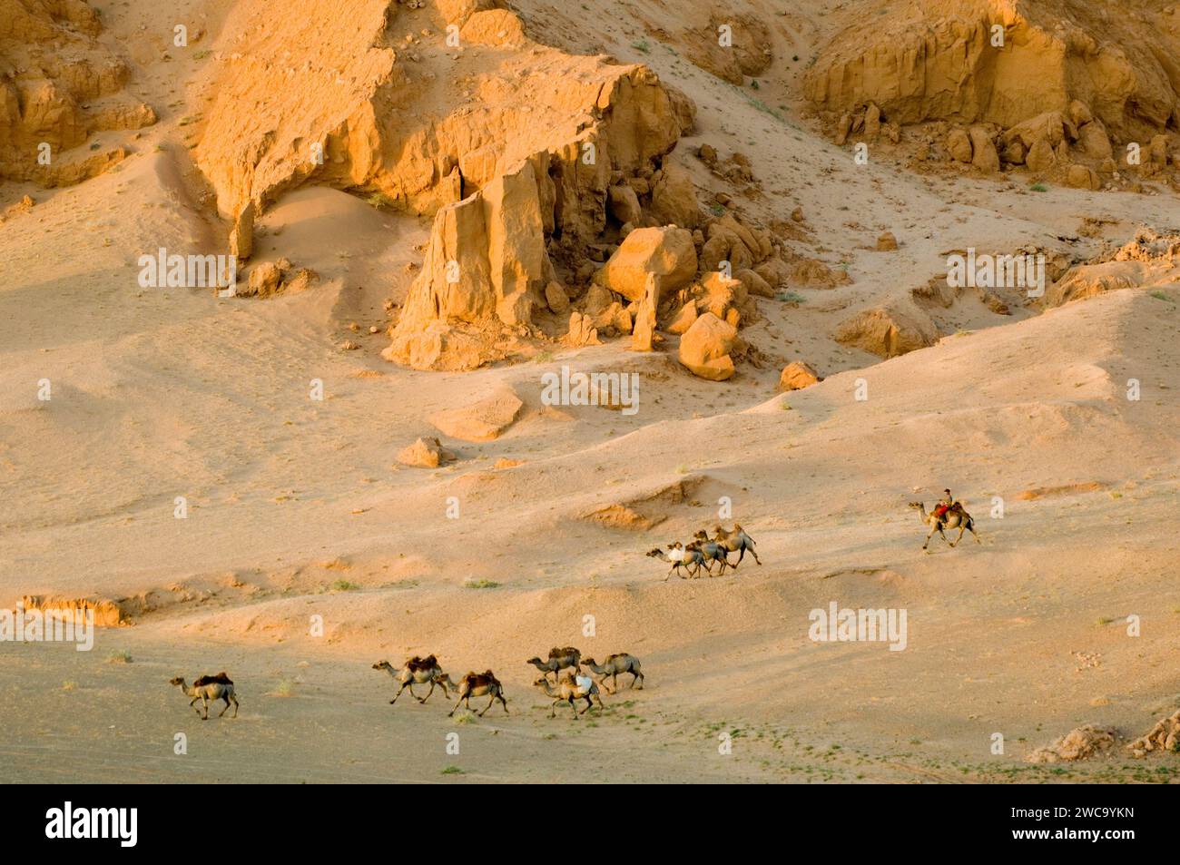 Camel herders at Bayanzag, or Flaming Cliffs, Gobi National Park Stock ...
