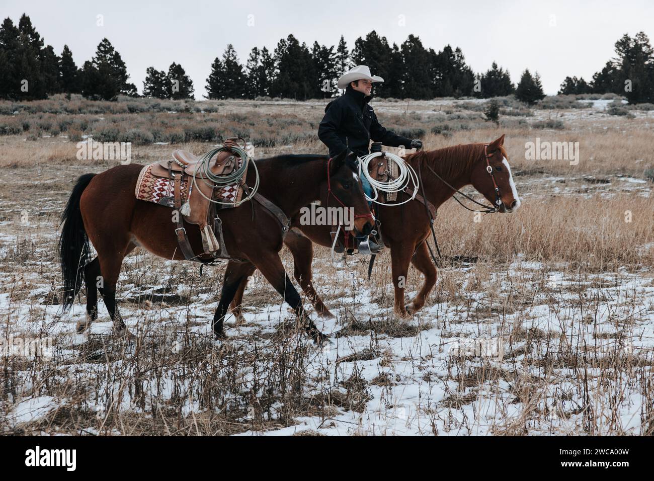 Cowboy ranch christmas hi-res stock photography and images - Alamy