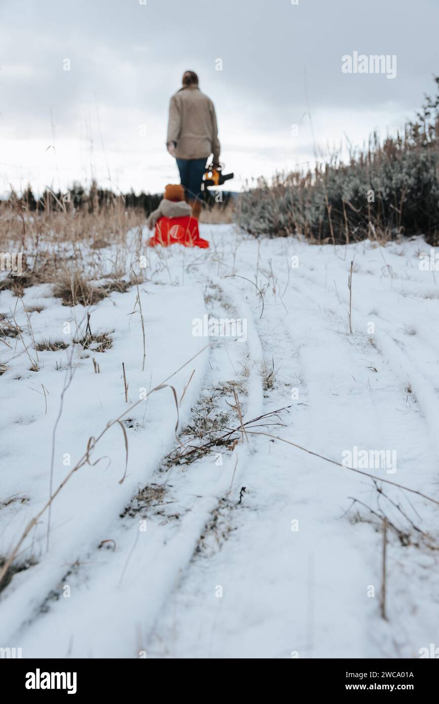 Mom joyfully pulls baby, ready for tree adventure Stock Photo - Alamy