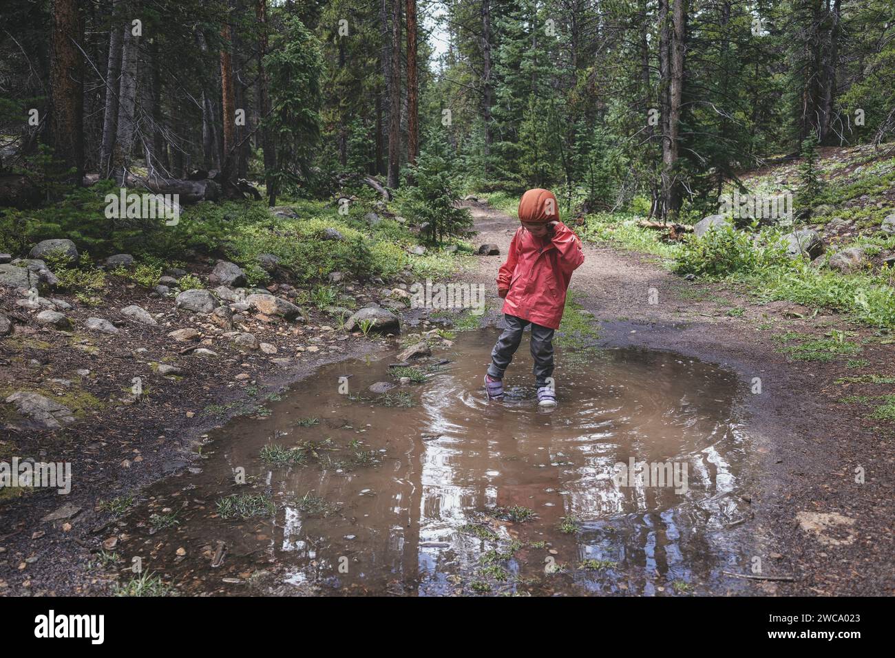 Child in red jacket playing in a puddle in the wilderness Stock Photo ...