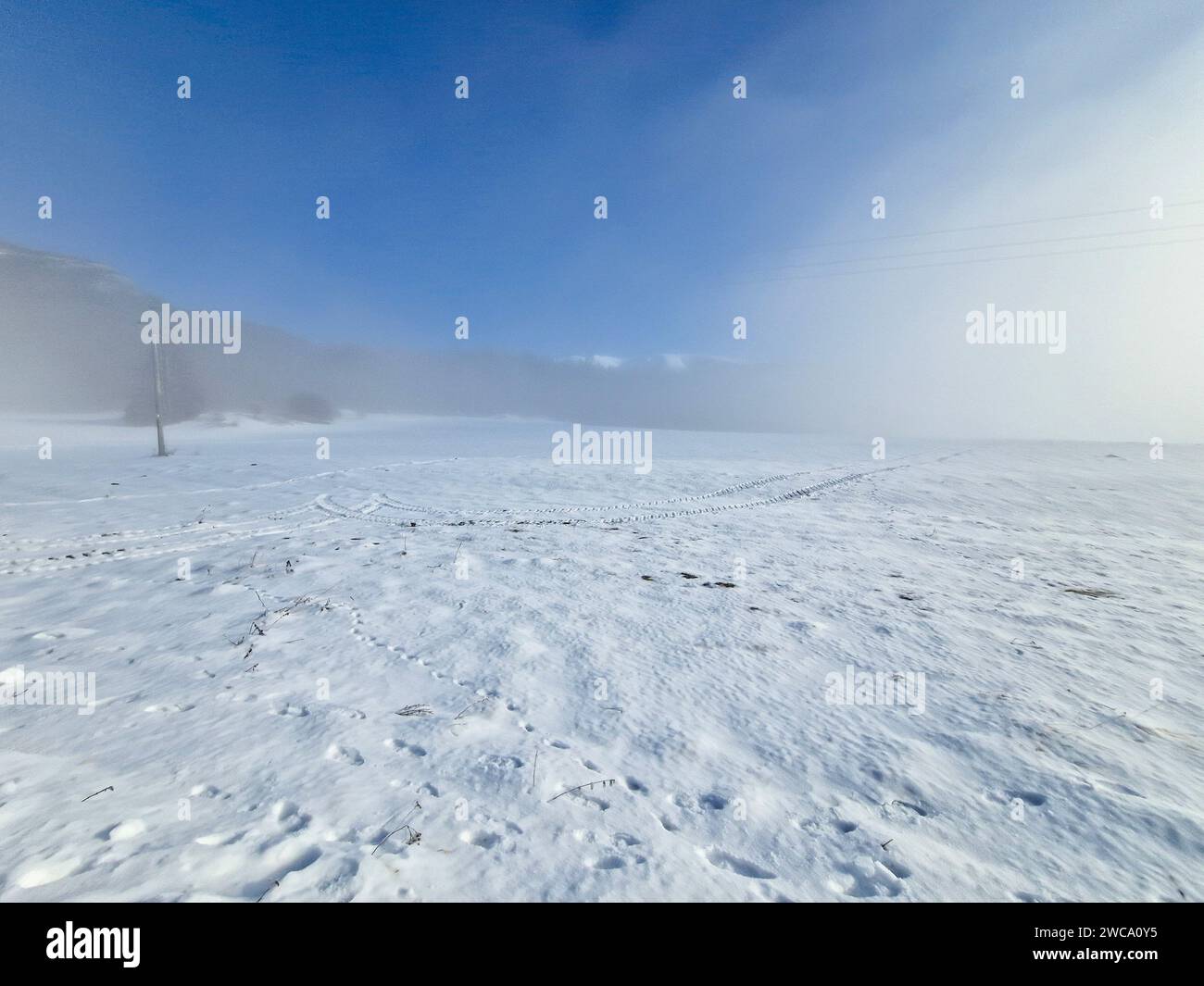 Snow forest in winter full view hi-res stock photography and images - Alamy