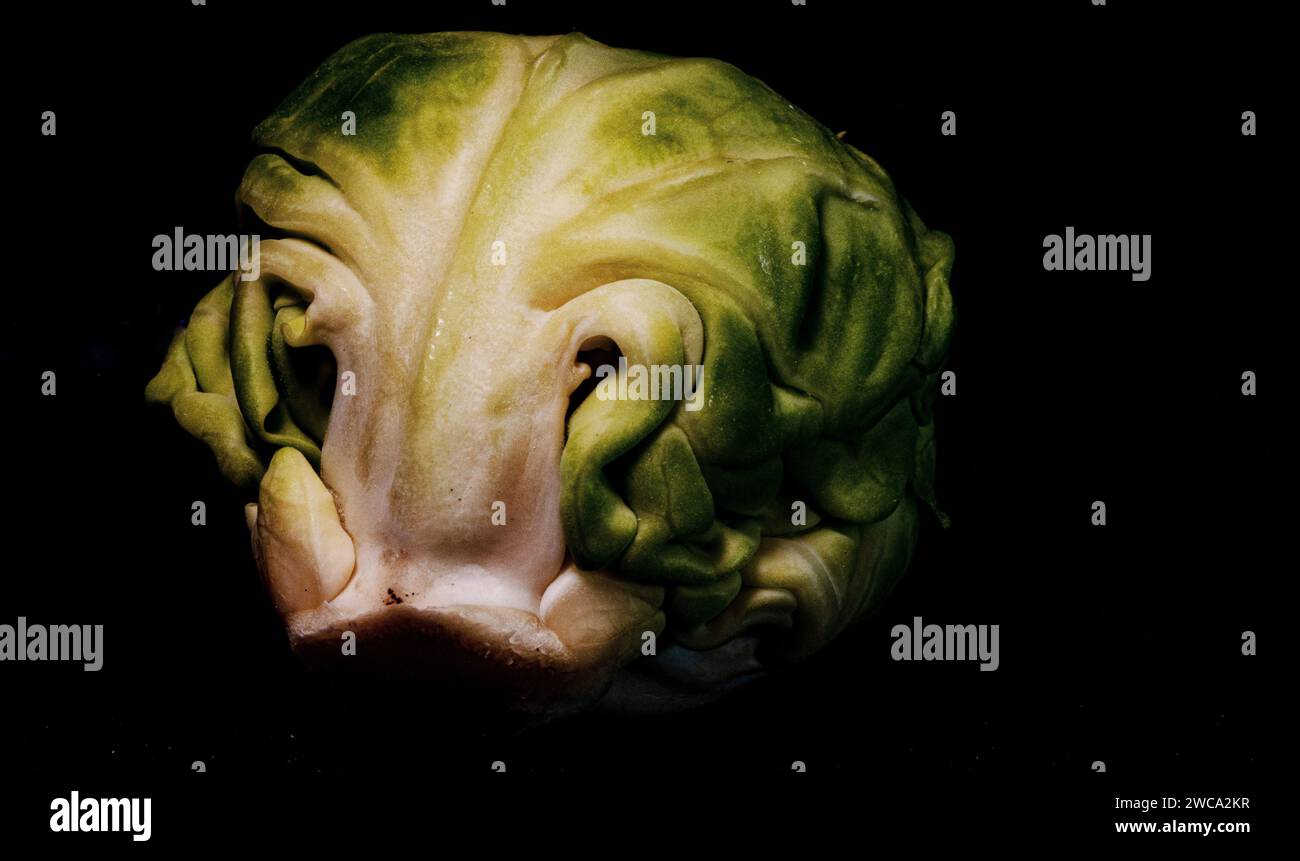 A Brussels sprout close-up shows natural patterns resembling a human ...