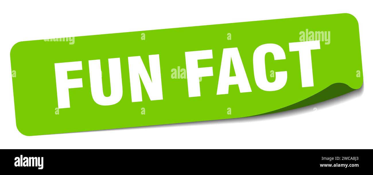fun fact sticker. fun fact rectangular label isolated on white ...