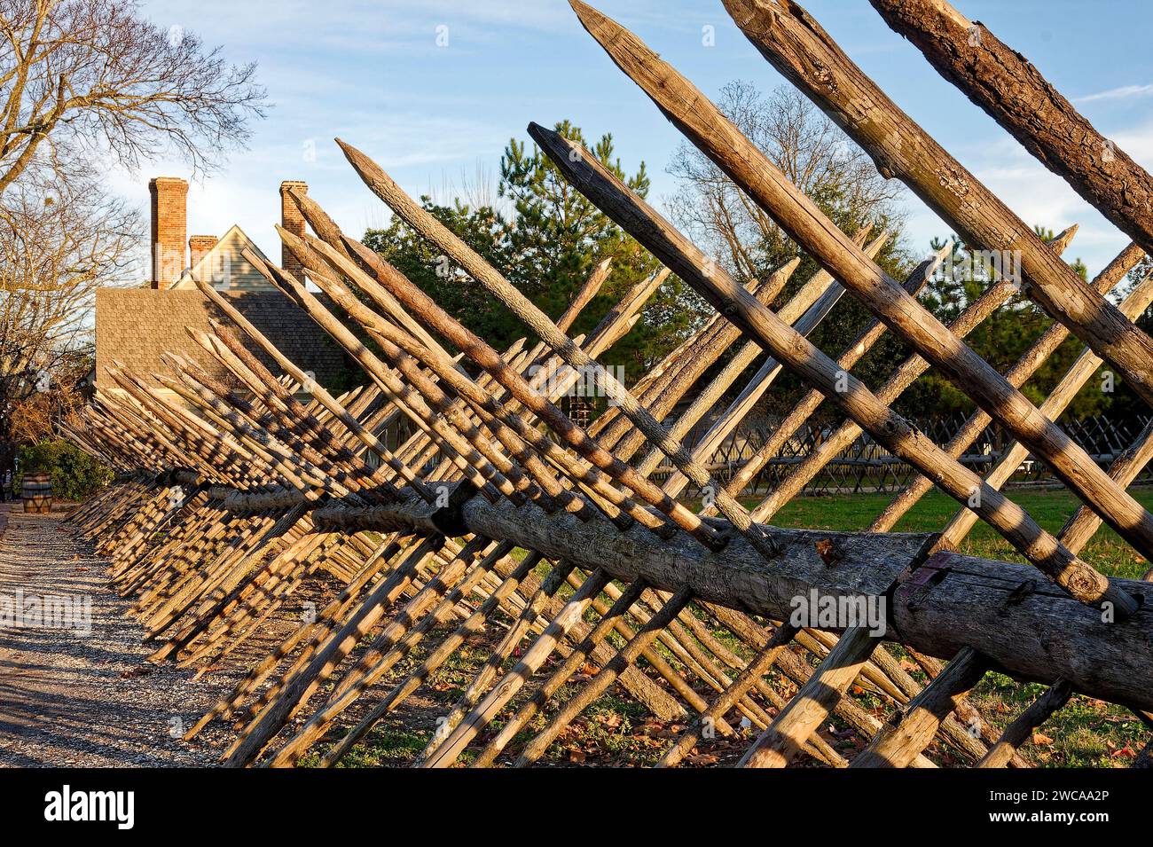 Wood fence of spiked thin trees hi-res stock photography and images - Alamy